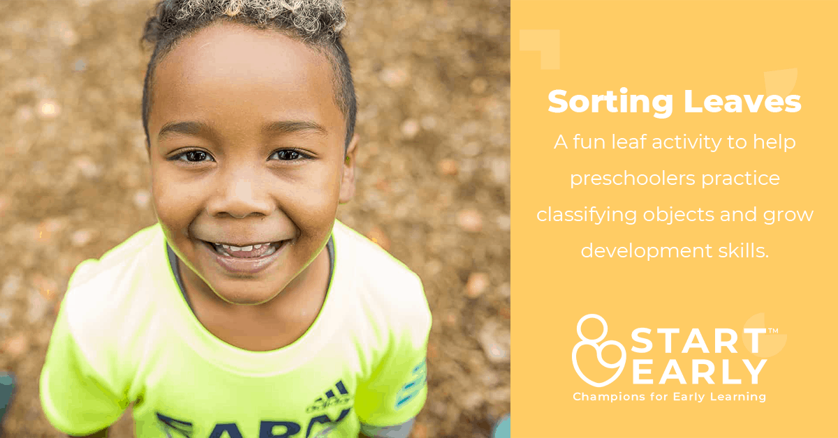 Activities for Preschoolers: Sorting Leaves